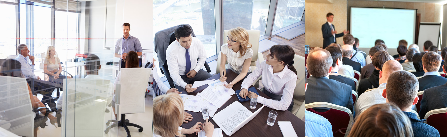 Fundación Human Access